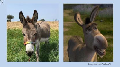 Donkey Shrek Eddie Murphy: Hollywood's Million Dollar Donkey : Tell Me