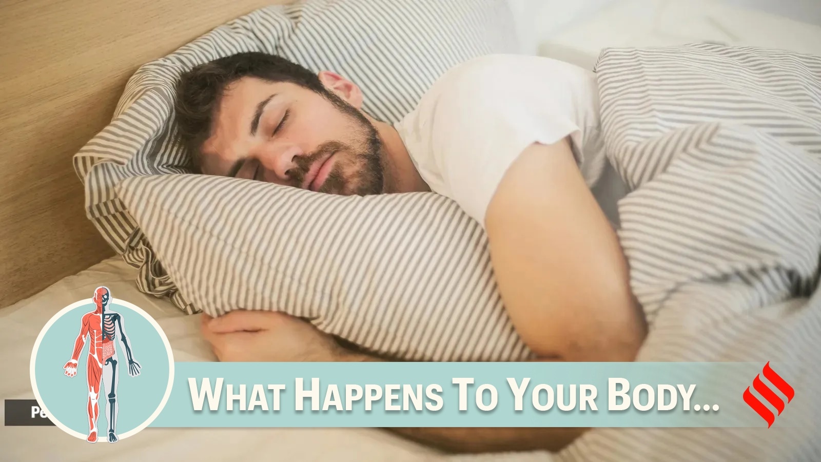 What happens to the body when you sleep at 8 PM and wake up at 4 AM ...