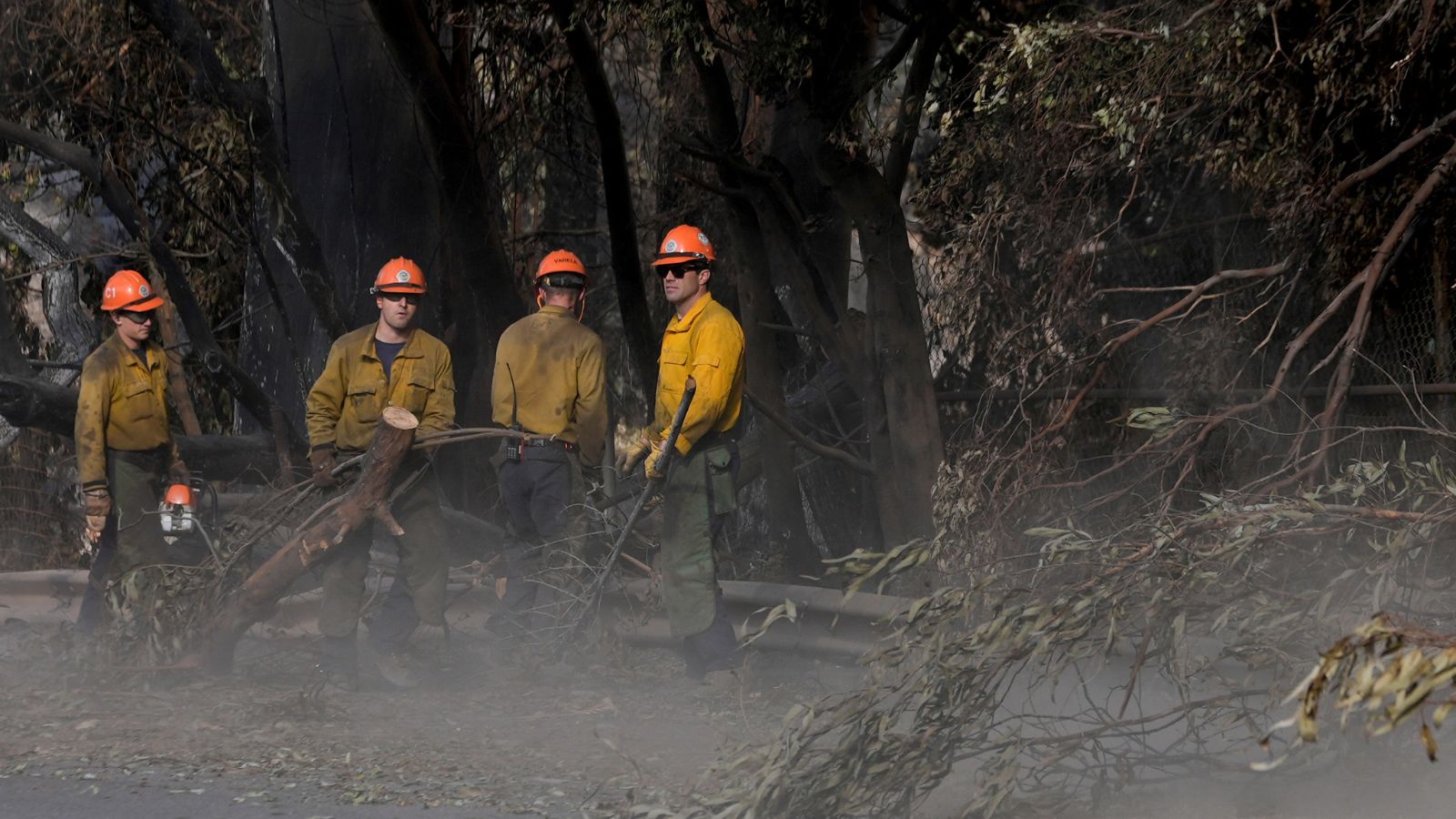 In pictures: Aftermath of LA fires in Pacific Palisades and Altadena ...