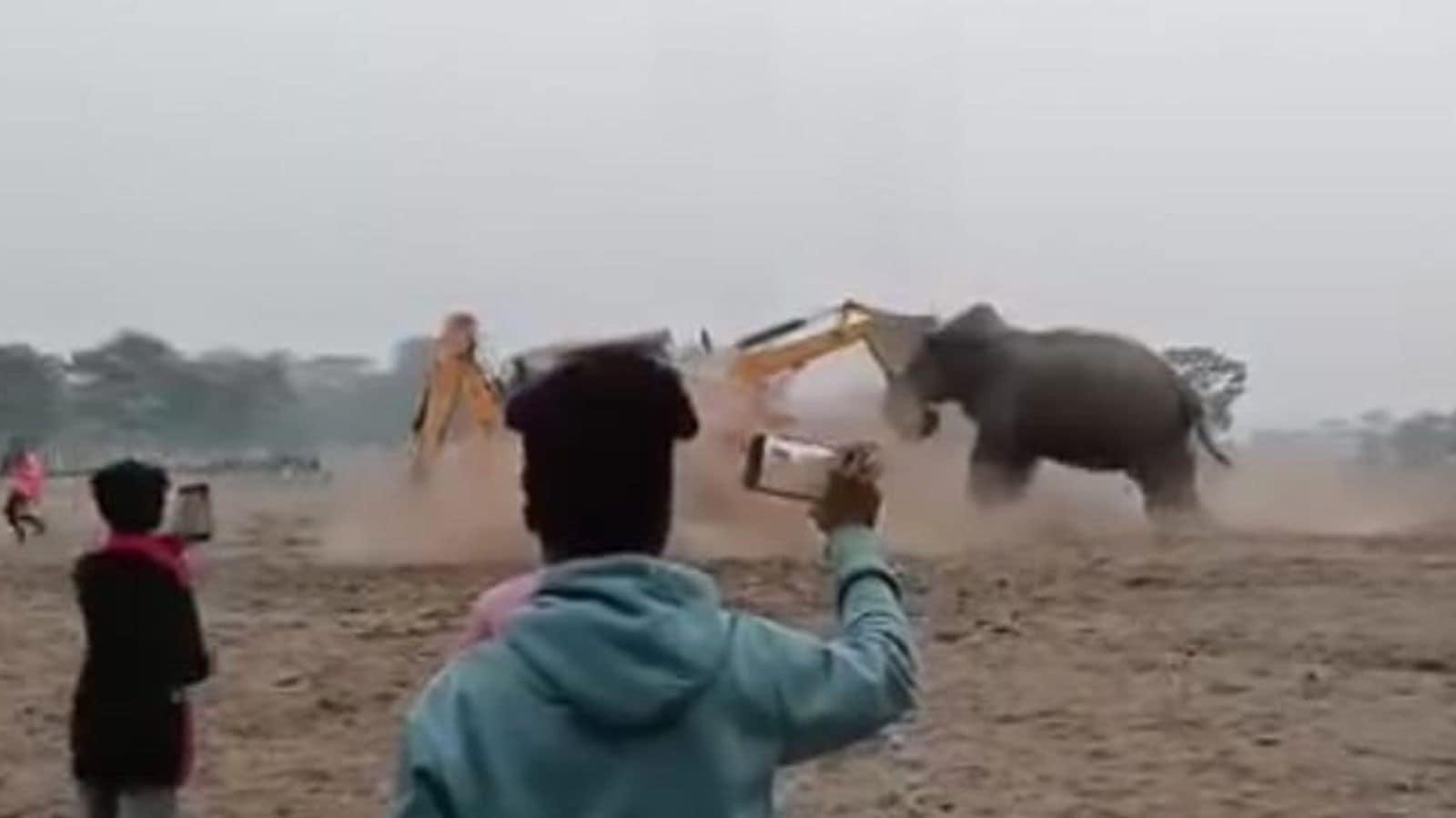 Wild elephant versus bulldozer: One arrested in Bengal’s Jalpaiguri ...