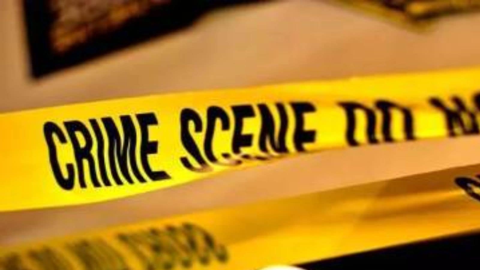 Solving Crime: From falling in love on a train journey to visiting ...