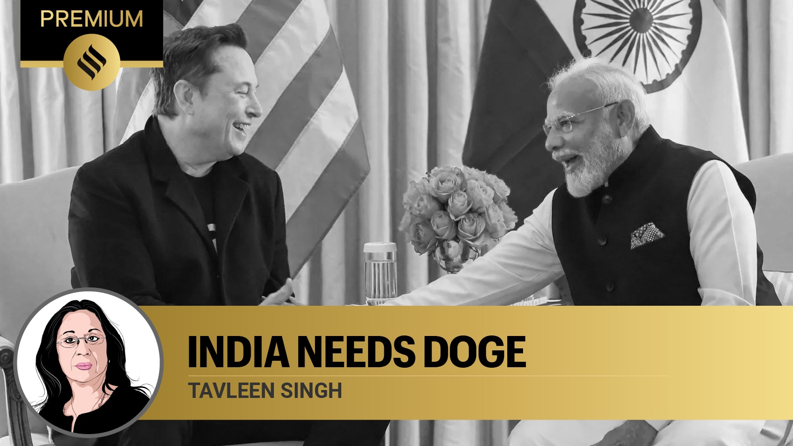 Tavleen Singh writes: India needs DOGE | The Indian Express