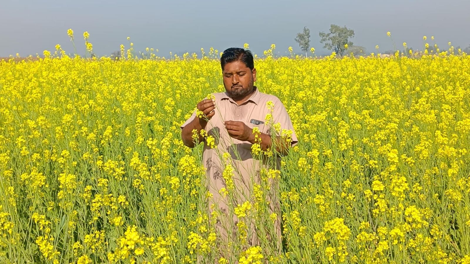 Progressive farmer, only one from Punjab, to get Innovative Farmer ...