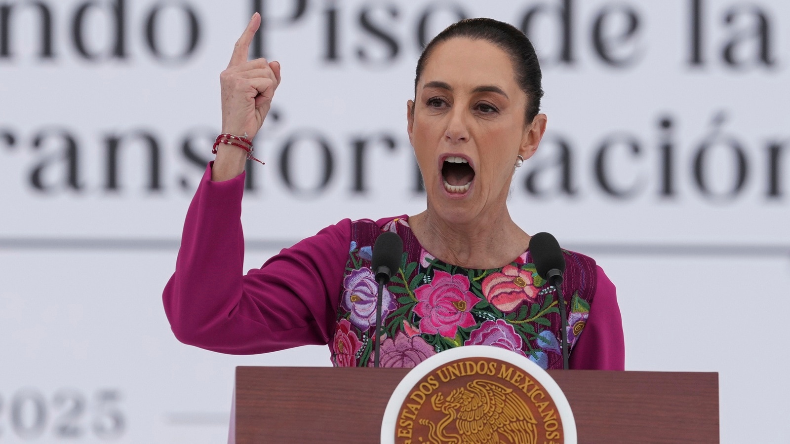 Mexico’s president vows to protect national sovereignty after US cartel ...