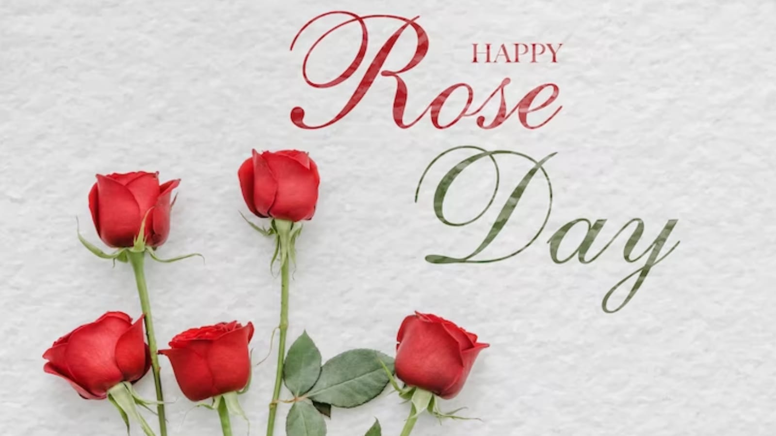 Happy Rose Day 2025: Wishes Images, Quotes, Status, Wallpapers, Pics ...