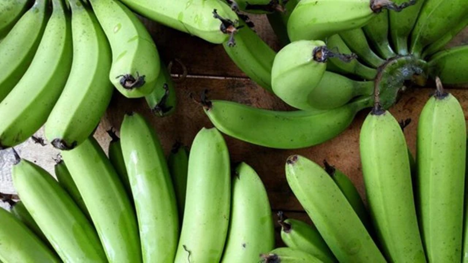 Feed gut microbiota with resistant starch: Why green bananas, cooked ...