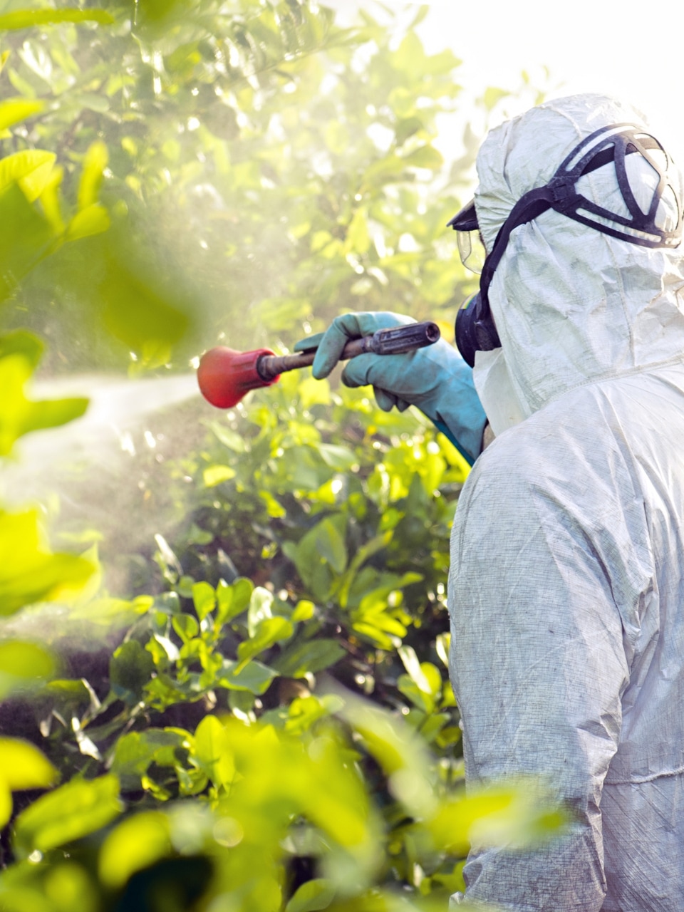 Hidden risks of pesticide exposure: What you need to know