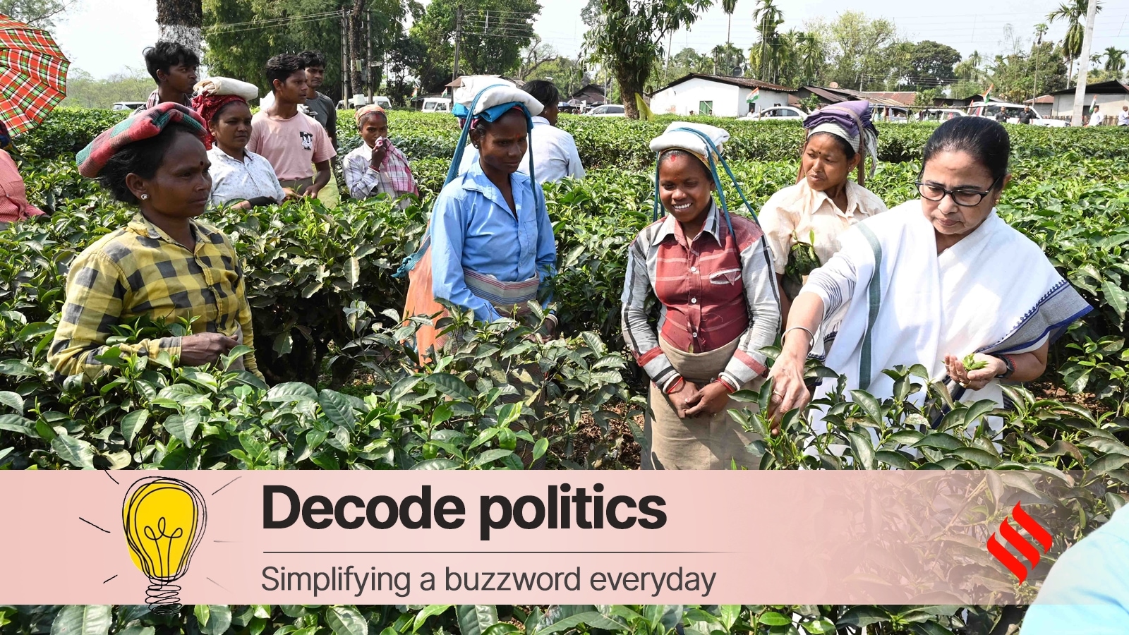 Decode Politics: In Bengal’s tea gardens, why a TMC government decision ...