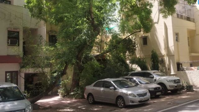 Several Dwarka residents up in arms over entry fee at DDA park, Matiala ...