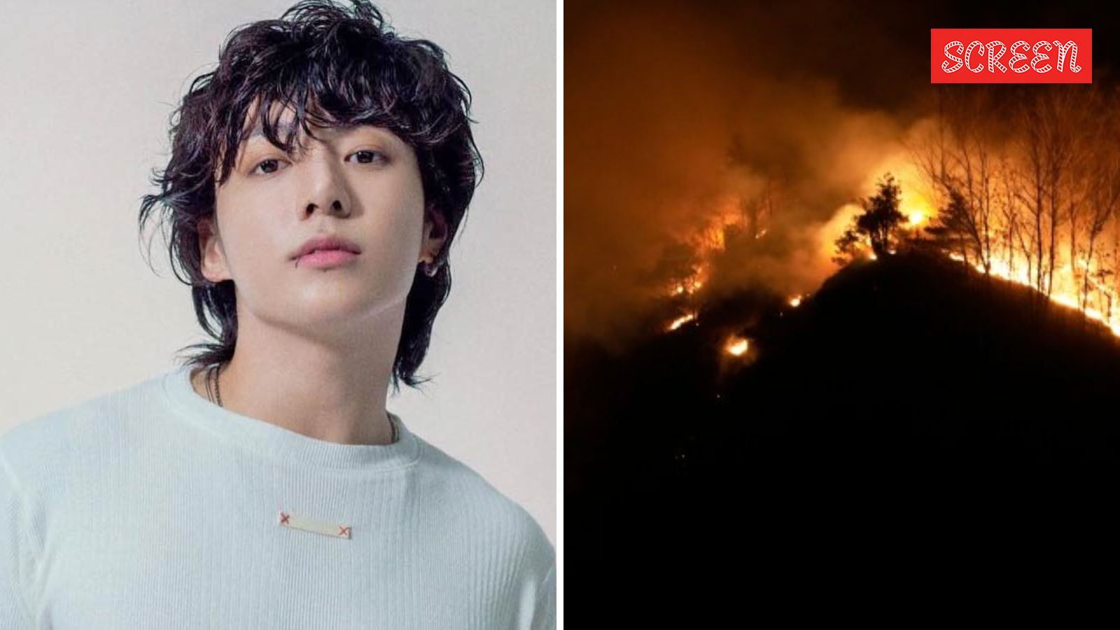 BTS’ Jungkook makes largest donation to South Korea’s wildfire relief ...
