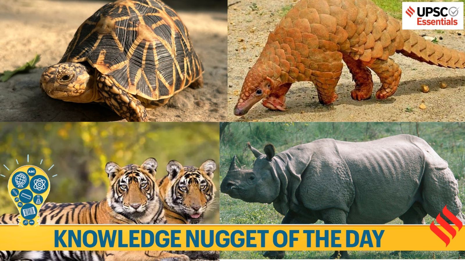 Knowledge Nugget: From CITES to Species in news- What you must know on ...