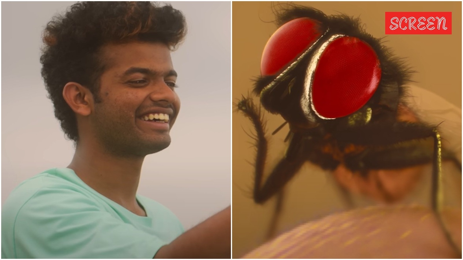 Lovely teaser: Mathew Thomas and a talking housefly pose the question ...