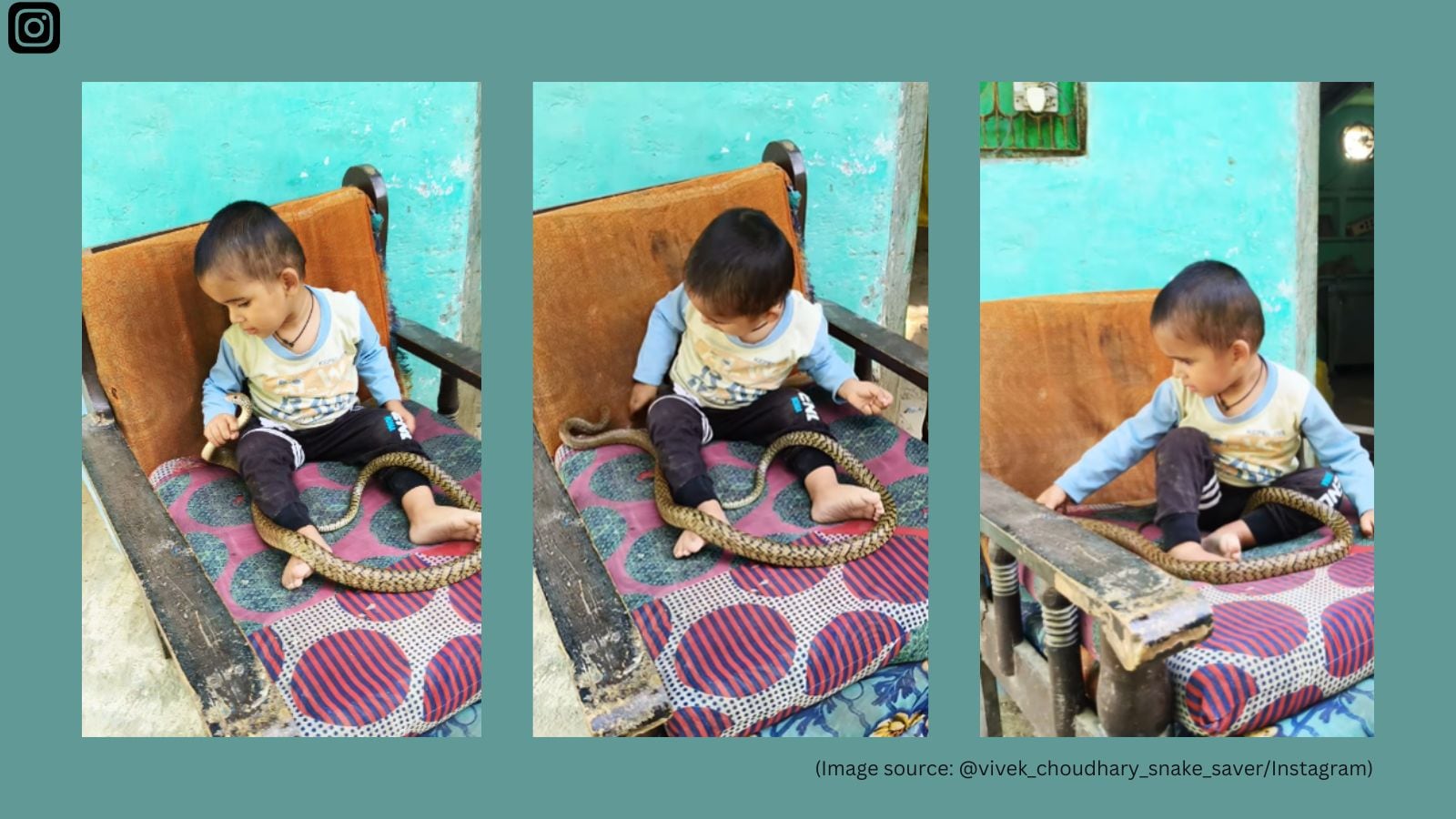 Video of boy playing with snake goes viral; the Internet is concerned ...