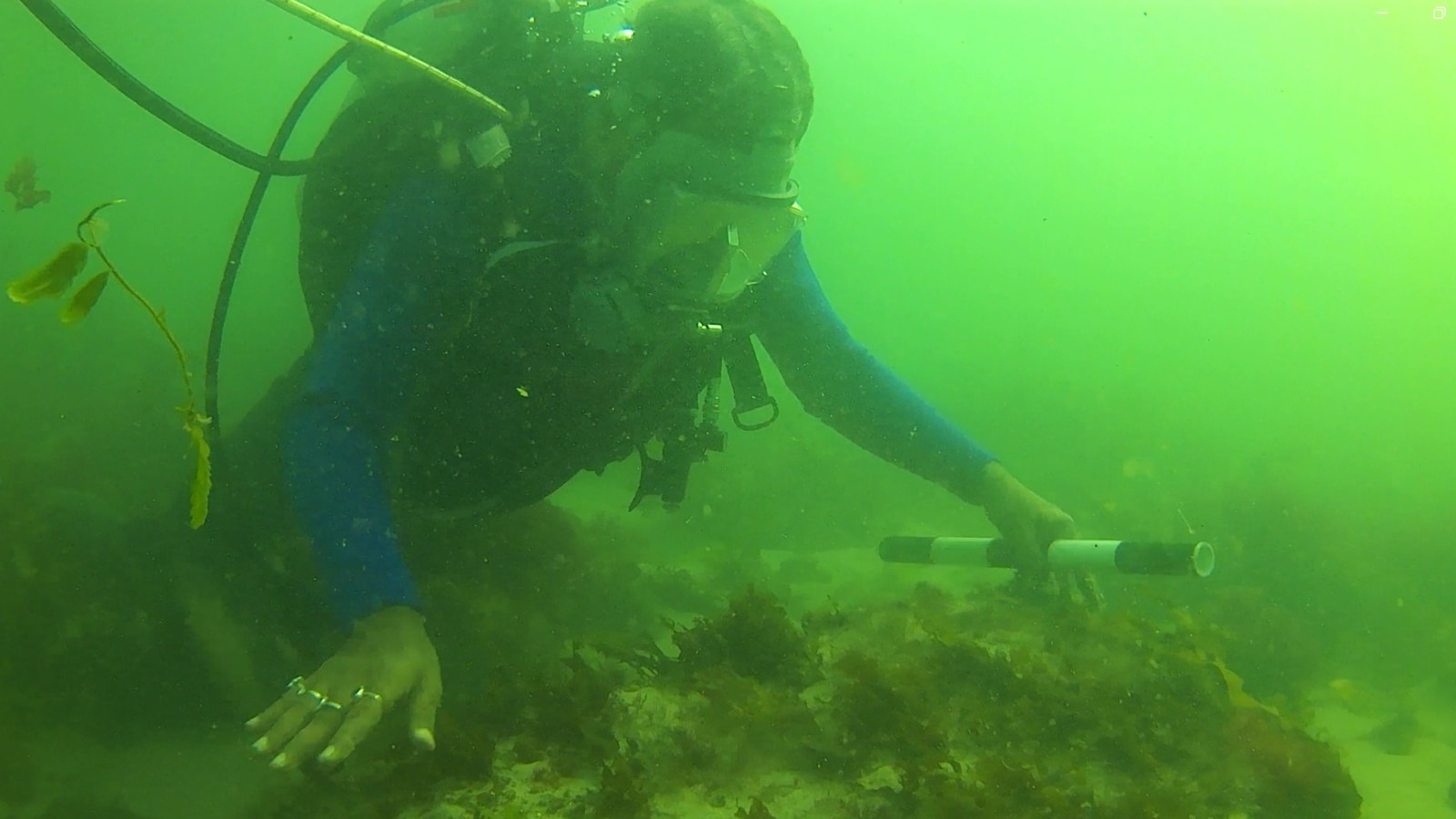 Dwarka coast in Gujarat: What is ASI’s underwater exercise to ...