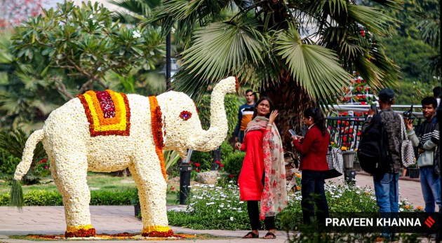 NMDC Flower Festival Delhi: Visitors experience Delhi’s seasonal bloom