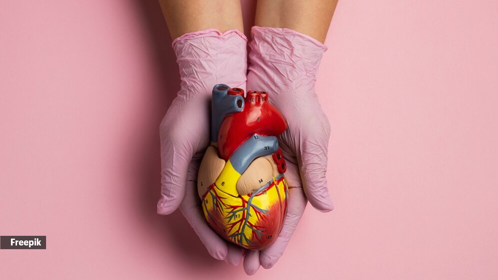 ‘Whole new ball game for heart transplants’: Australian man survives ...