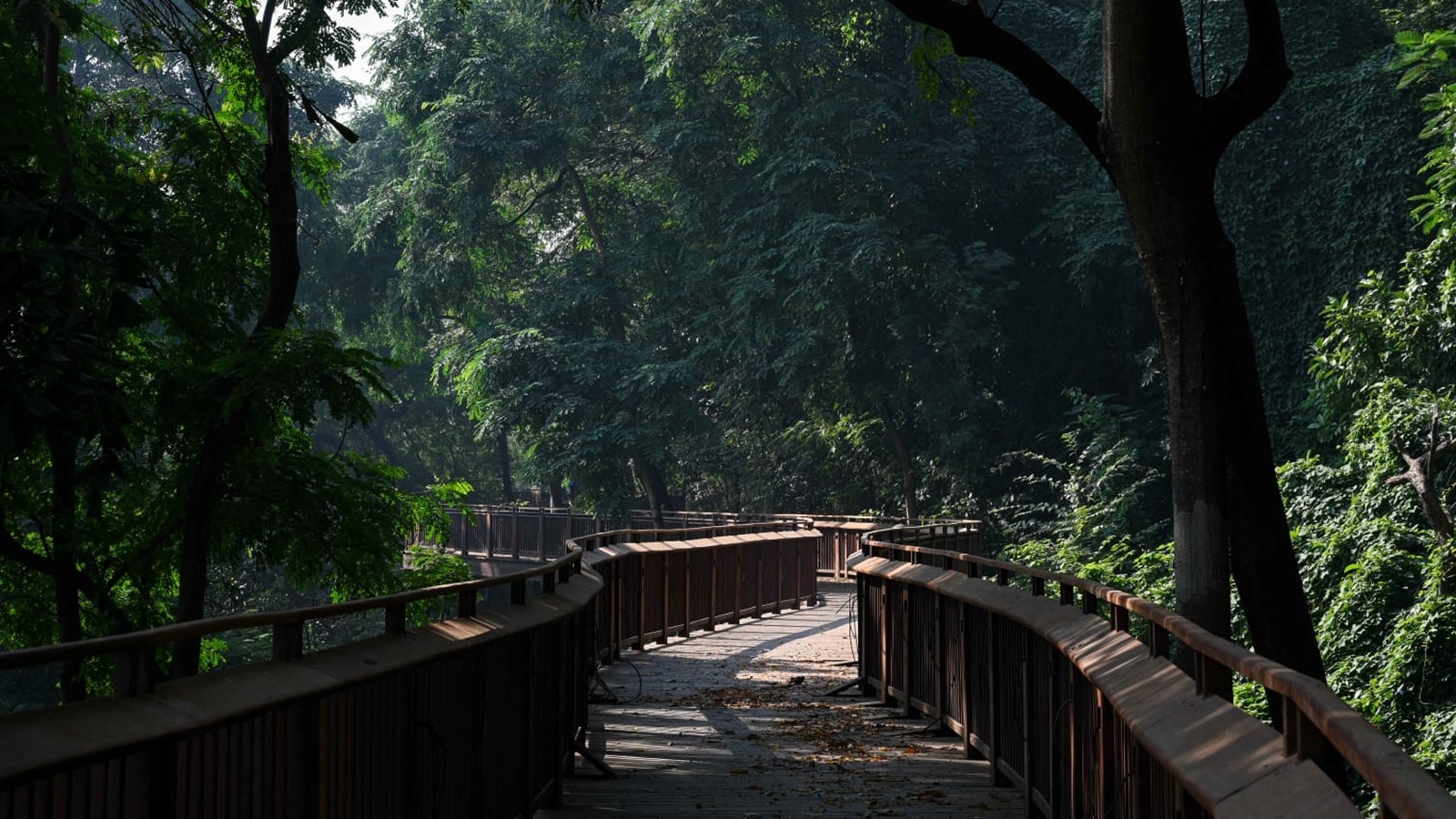 Mumbai’s first elevated forest walkway at Malabar Hill nears completion, likely to be opened ...
