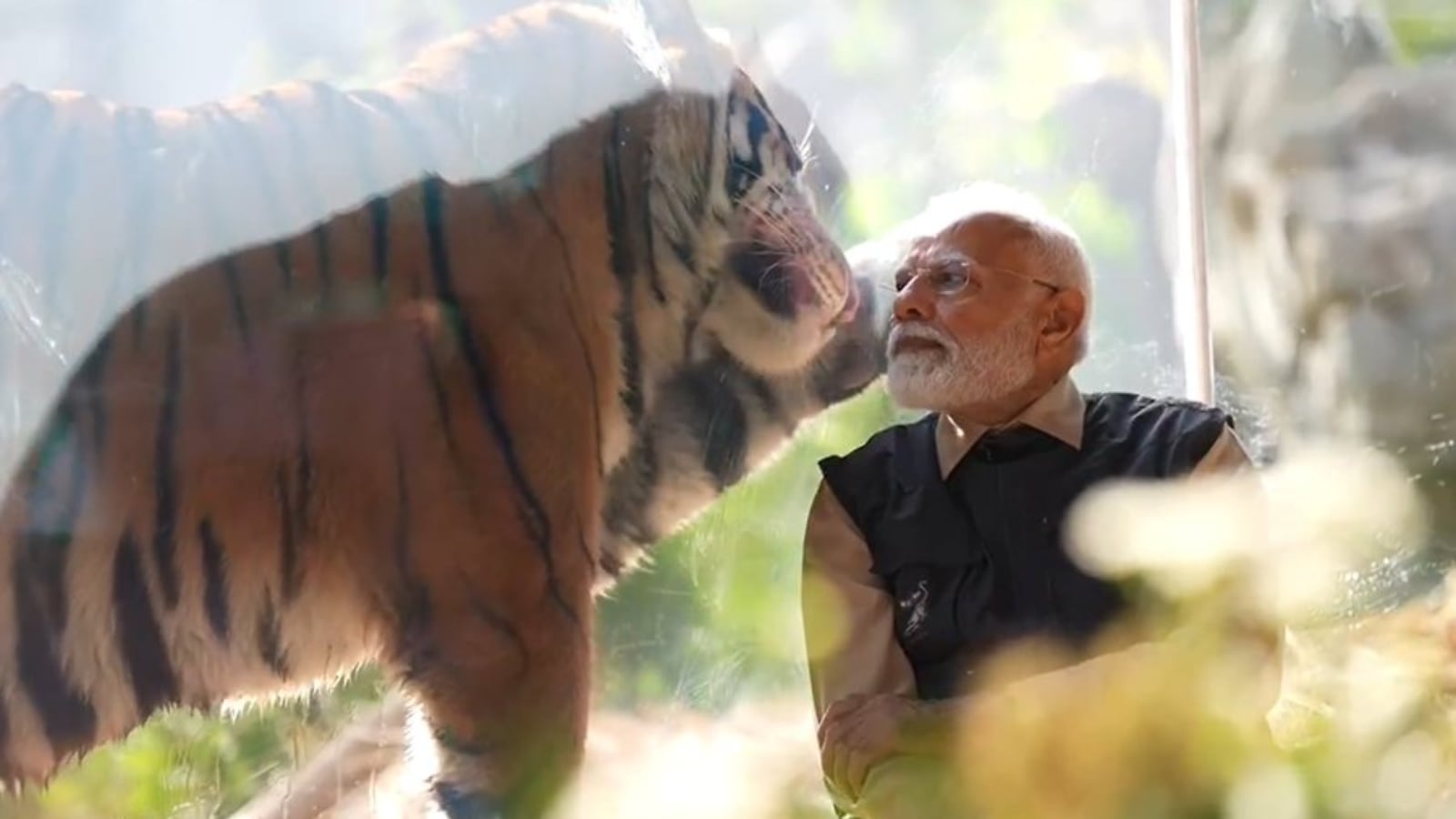 PM Modi inaugurates animal rescue facility Vantara, says reflects our ...