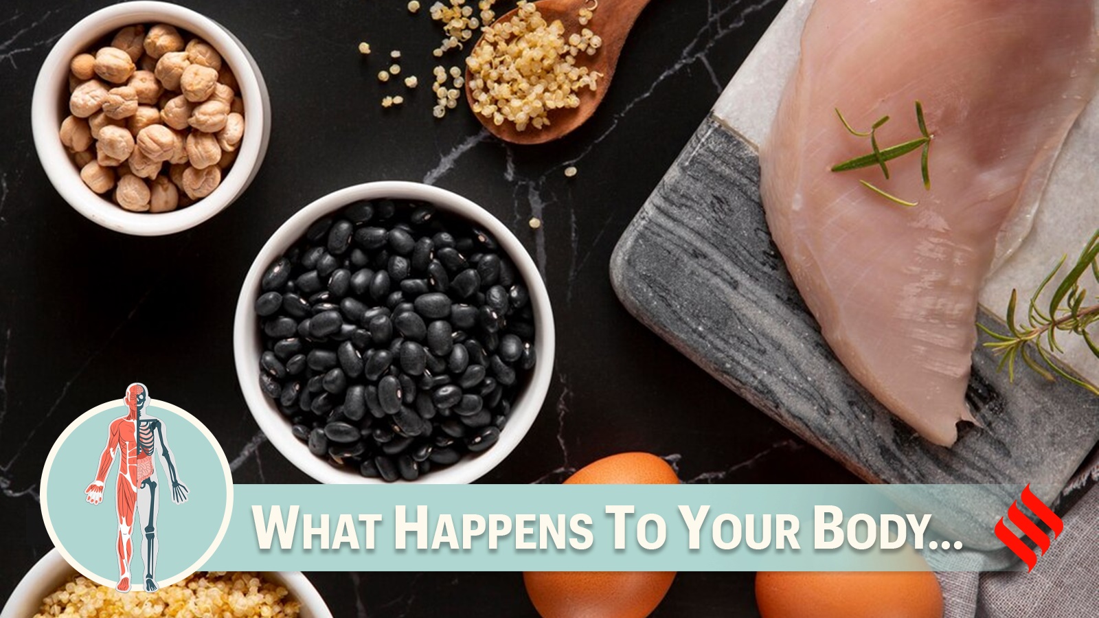 Can you live without protein?