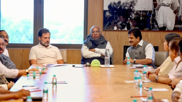 They stand as one, united by light of purpose ahead: Rahul Gandhi on ...