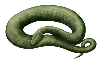Prehistoric Giant Snake 18 Terrifying Animals You Are SO Glad Are