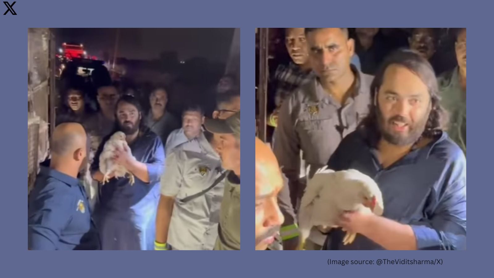 Anant Ambani pauses ‘padyatra’ to save hens; the Internet applauds his kindness: WATCH ...