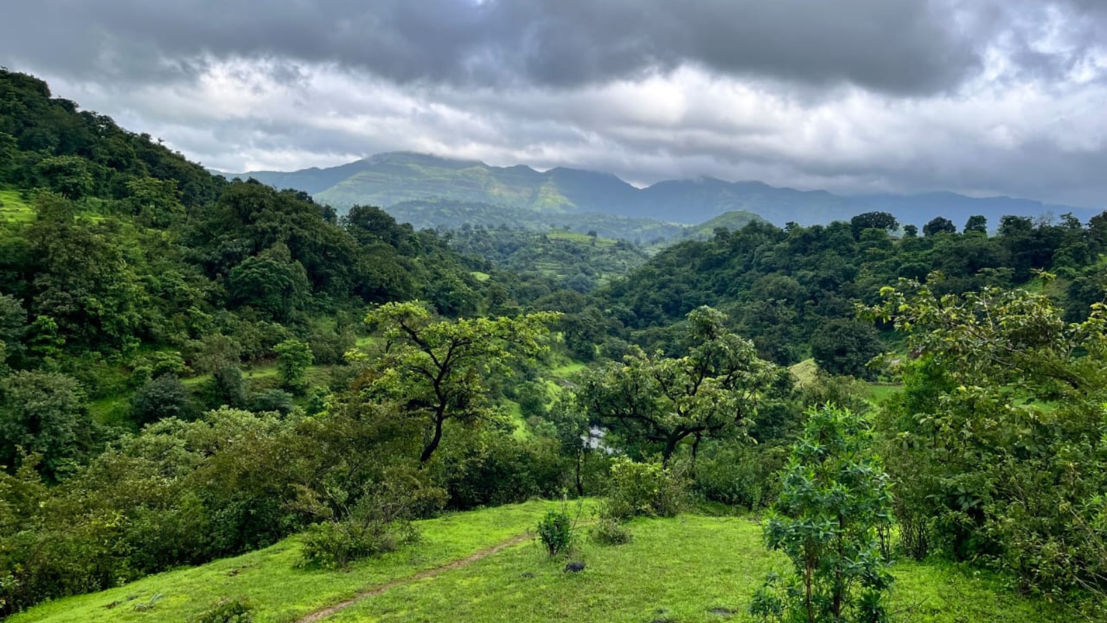 Forest knowledge of Maharashtra’s Mahadev Koli tribe can help fight ...