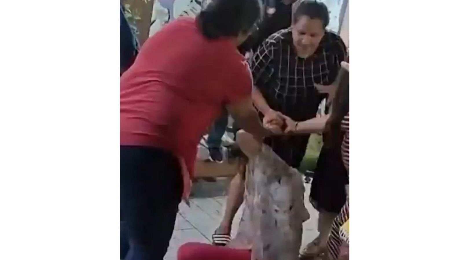 Viral video | Noida woman grabs neighbour by the hair, yells: ‘Call the police, how dare she ...