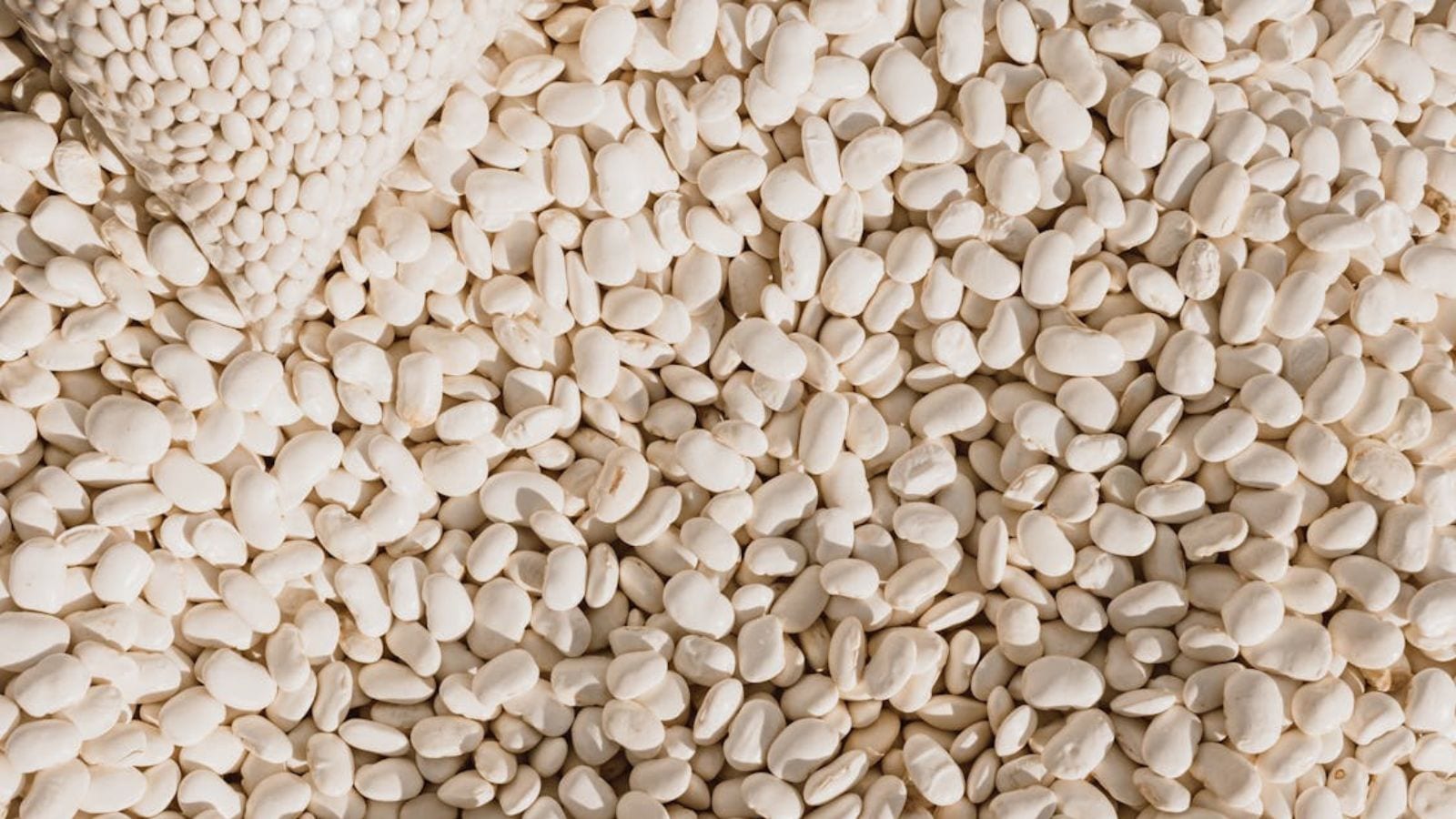 Govt notification mandating new packing regulations worry seed ...