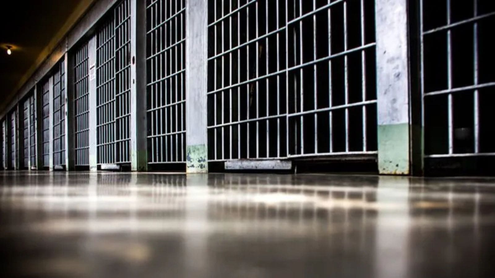 US: Indian national sentenced to 35 years in prison for sexual ...