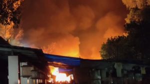 Daily Horoscope, Today's free horoscope by Peter Vidal - The Indian Express | The Indian Express