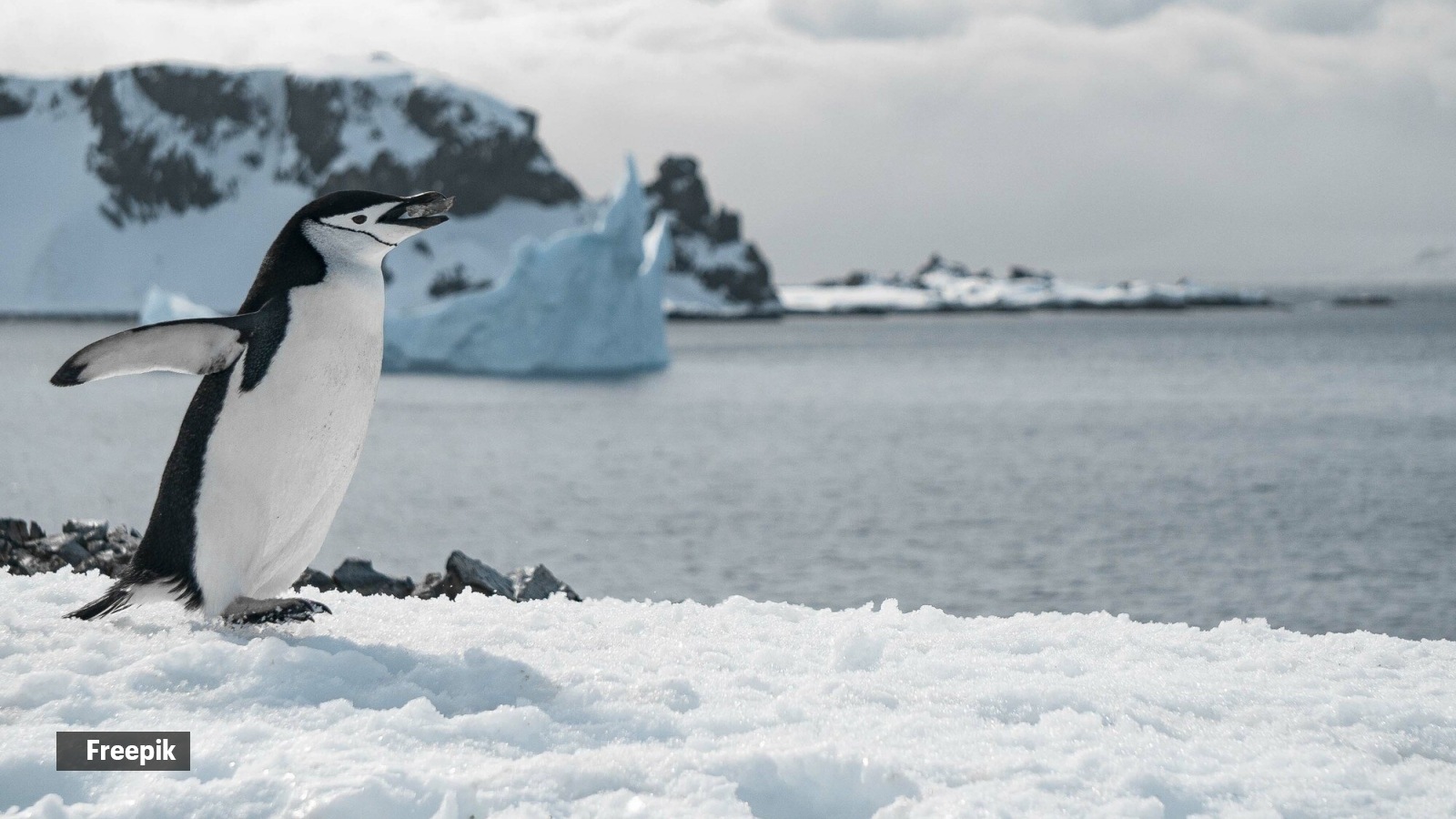 6 animals that thrive in Earth’s harshest places | Pets-animals News ...