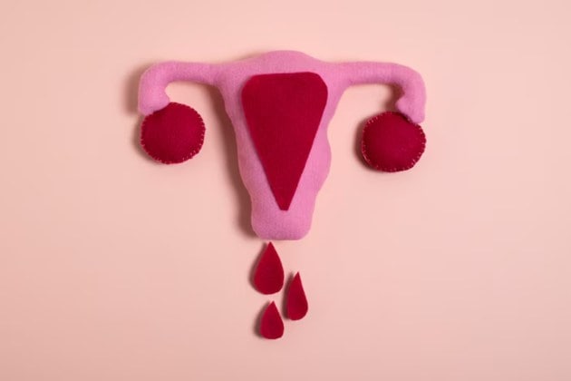 Myth vs fact: The uterus grows 4 times in size during your period, the ...