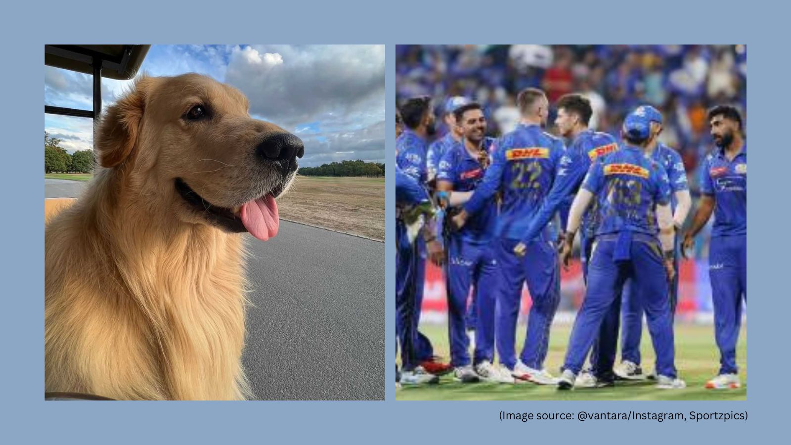 Grateful for Hardik Pandya’s ‘Happy’ tribute to Ambani’s late dog ...