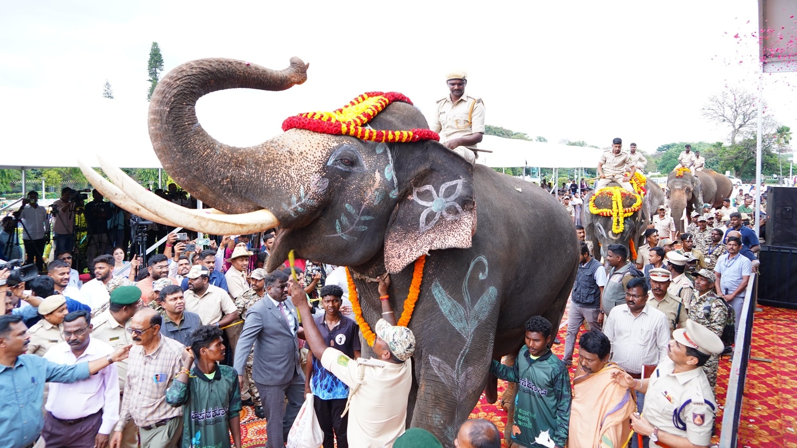 Karnataka gives 4 kumki elephants to Andhra Pradesh to tackle human ...