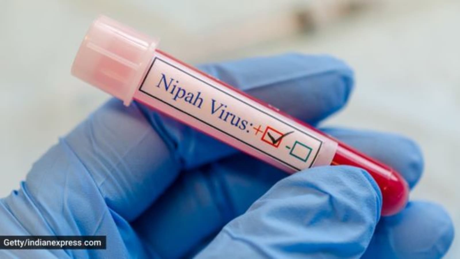 Second suspected Nipah death in Kerala; tracing, surveillance stepped up | India News - The ...