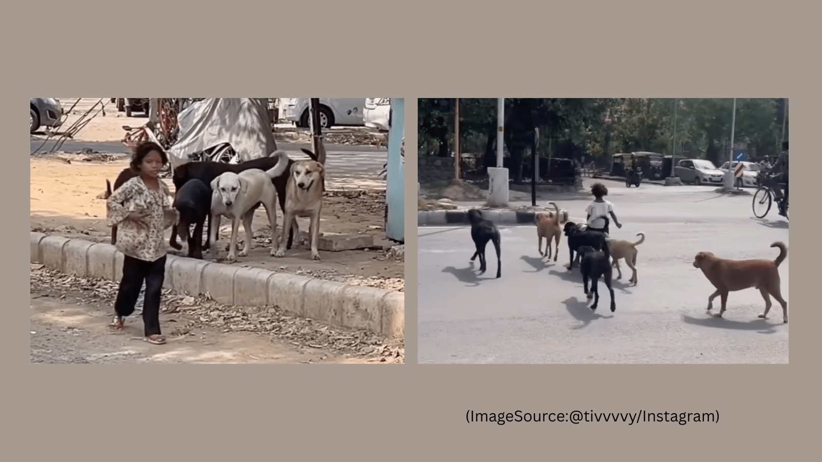 Indian girl rides on street dog like a horse, the Internet falls in ...