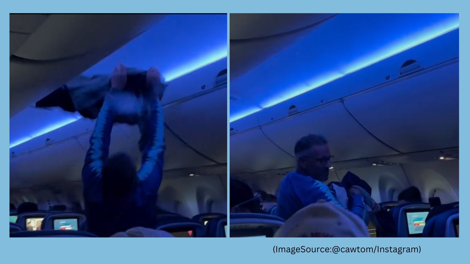 ‘Birds on a plane’: Pigeons cause chaos inside cabin, delays Delta ...