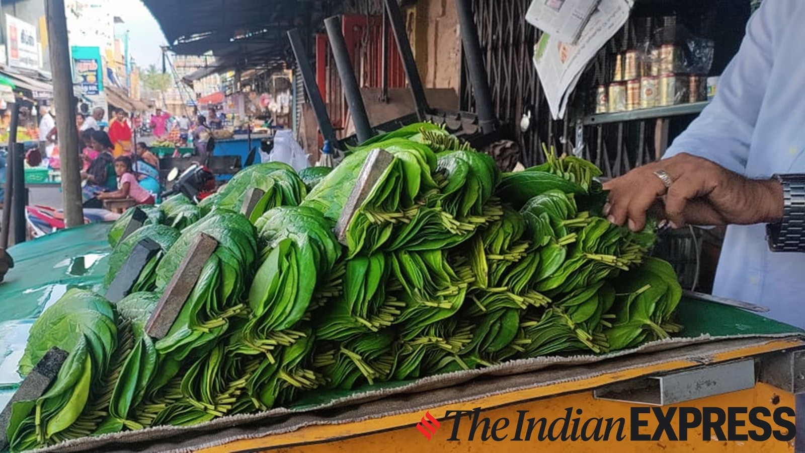 What is Kumbakonam vetrilai?