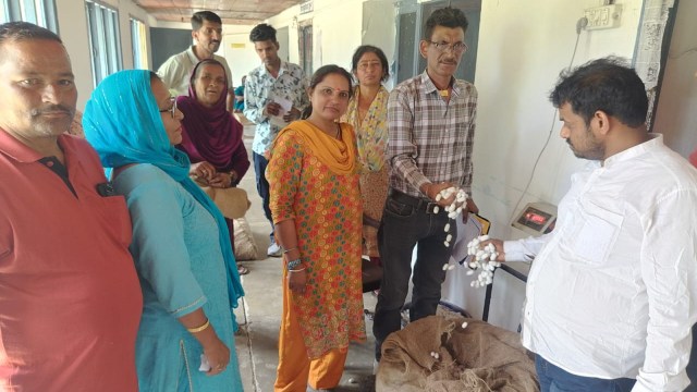 Taking the ‘silk route’ in Punjab as Sericulture boosts farm income ...