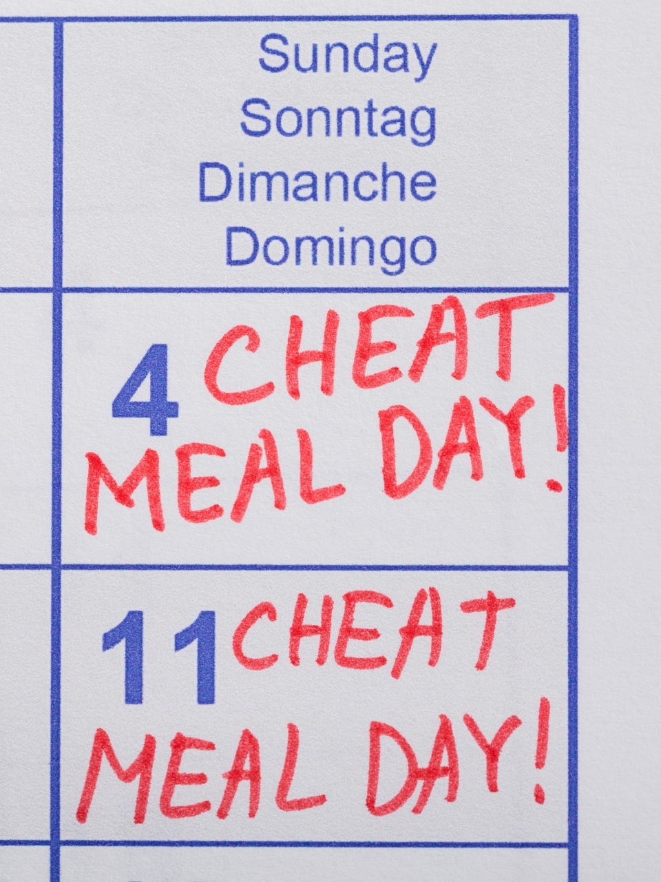 Cheat Day vs Cheat Meal: What’s Best for Your Fitness Goals?