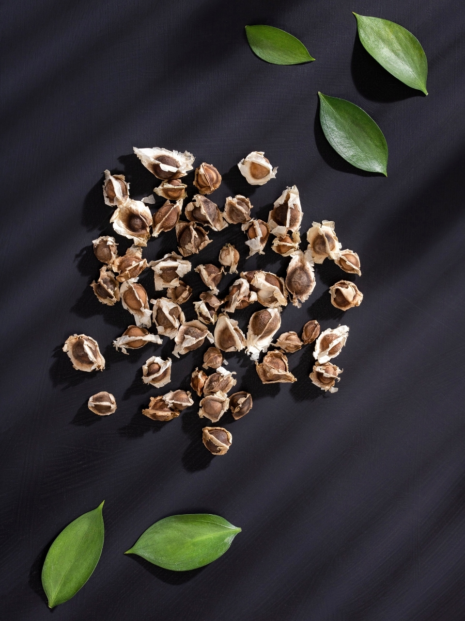 Why moringa seeds deserve a place in your diet