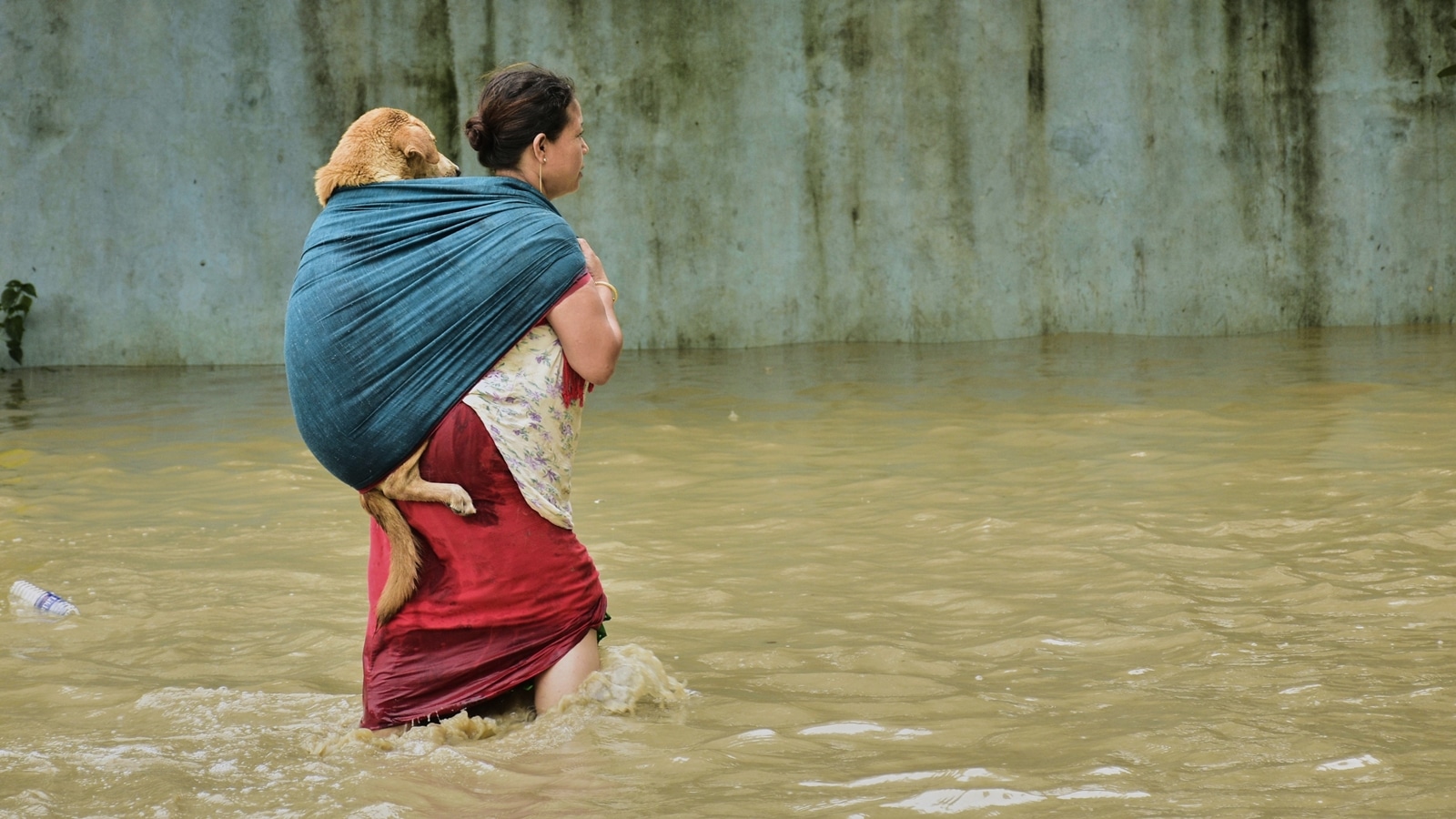 Rain fury wreaks havoc in Northeast, thousands moved to shelters, schools shut | India News ...