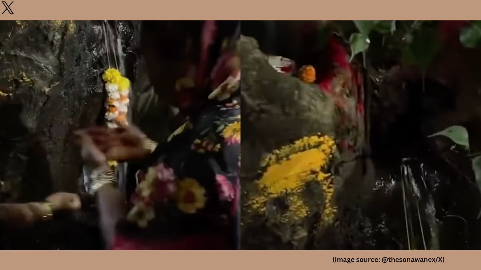 ‘Holy water’ from Pune ‘miracle tree’ turns out to be pipe leak, video ...