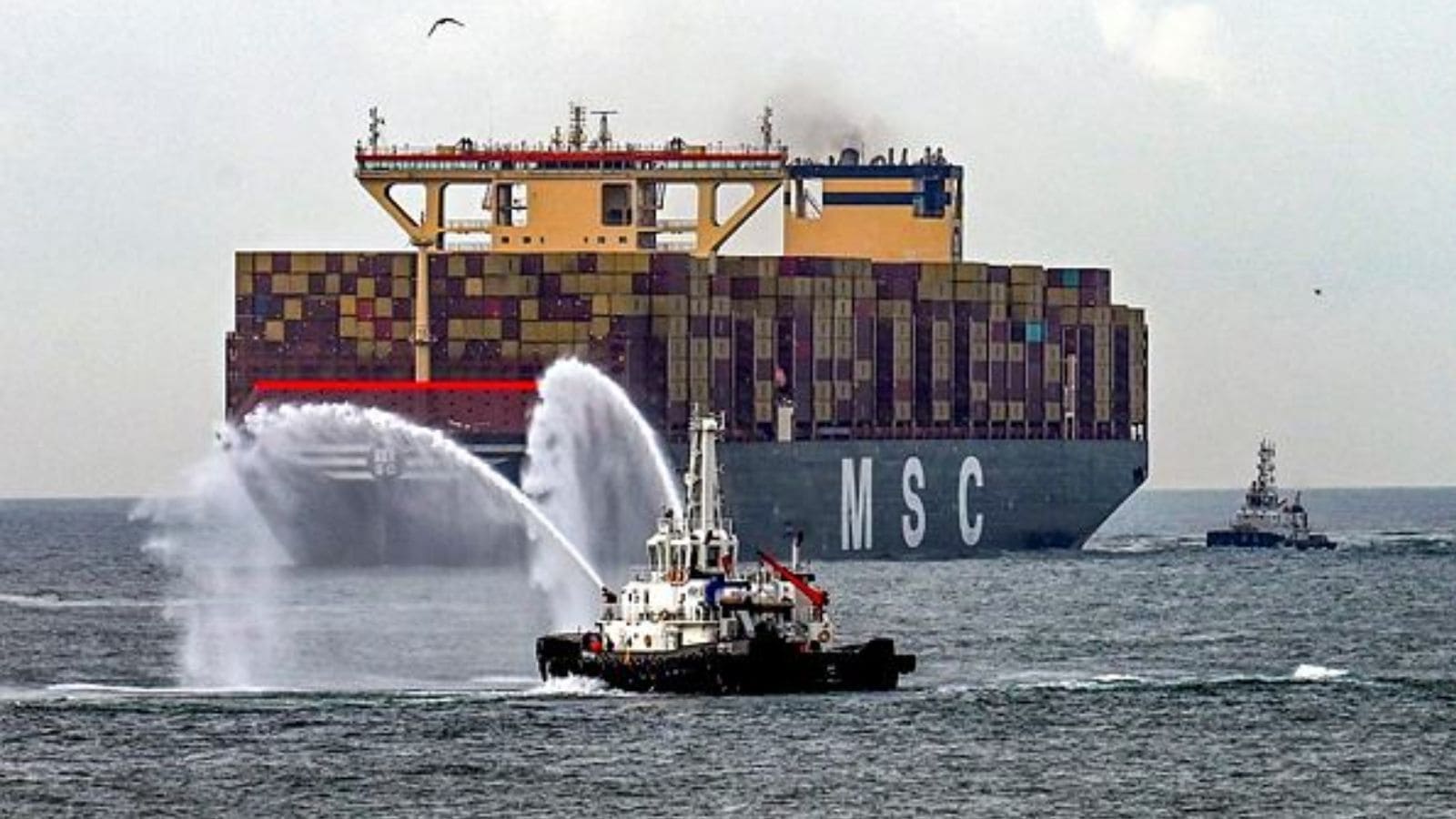 MSC Irina, world’s largest container ship, docks at Kerala’s Vizhinjam ...