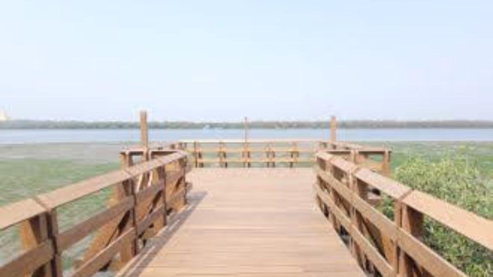 Changing City: India’s first Mangrove Park getting ready in Mumbai’s ...