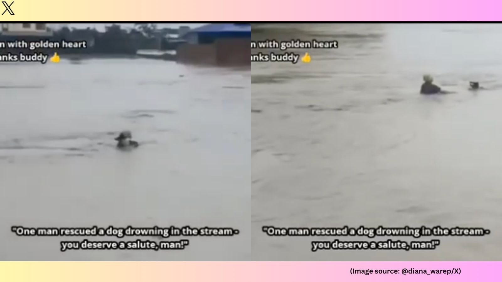 ‘Brave man’: Manipur man jumps into raging floodwaters to rescue ...
