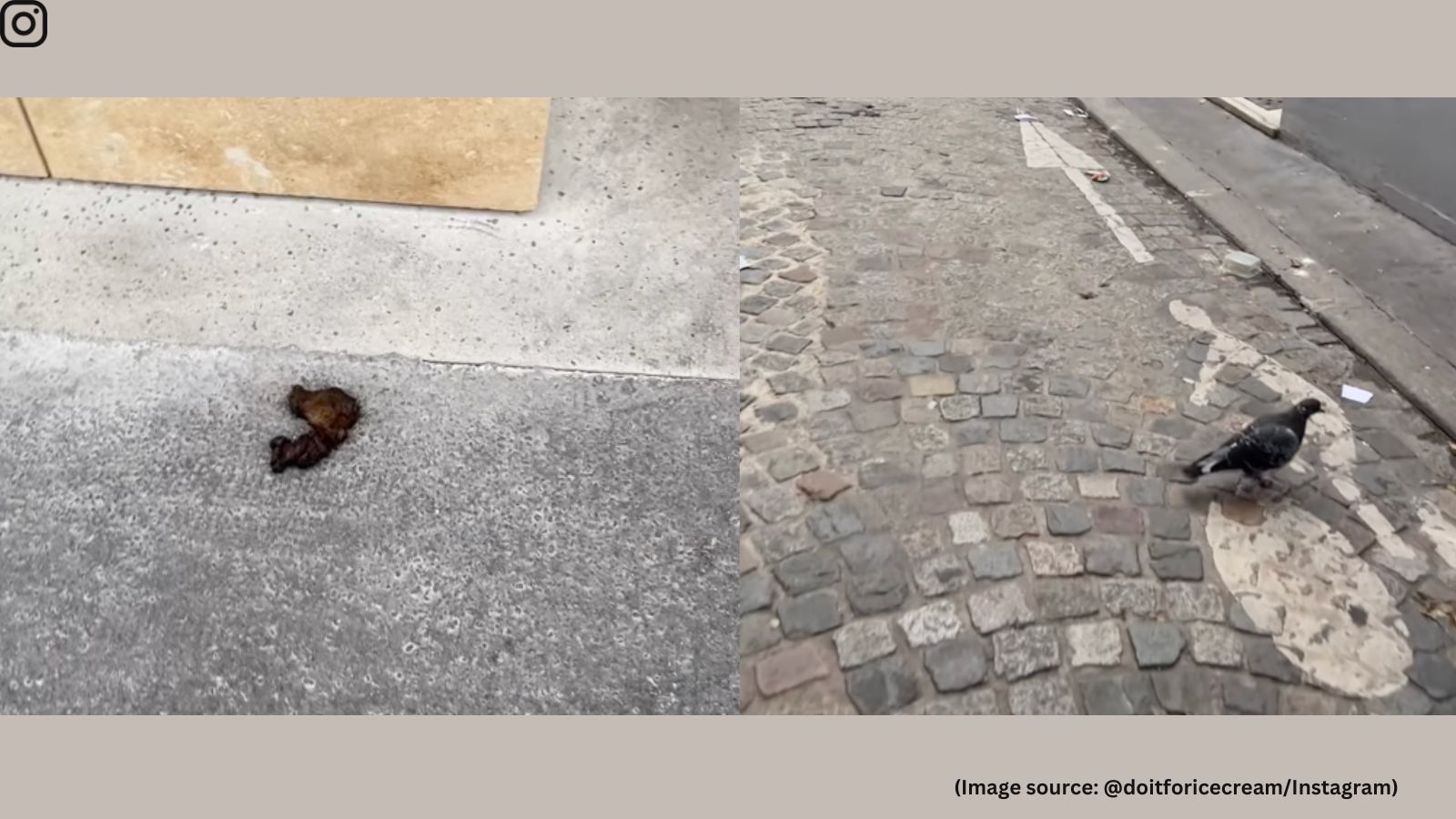 Video shows Paris streets littered with garbage, human waste; netizens ...