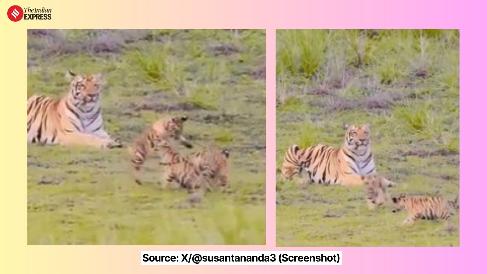 Trending News India: Latest Trending Topics In India , Whats Trending ...