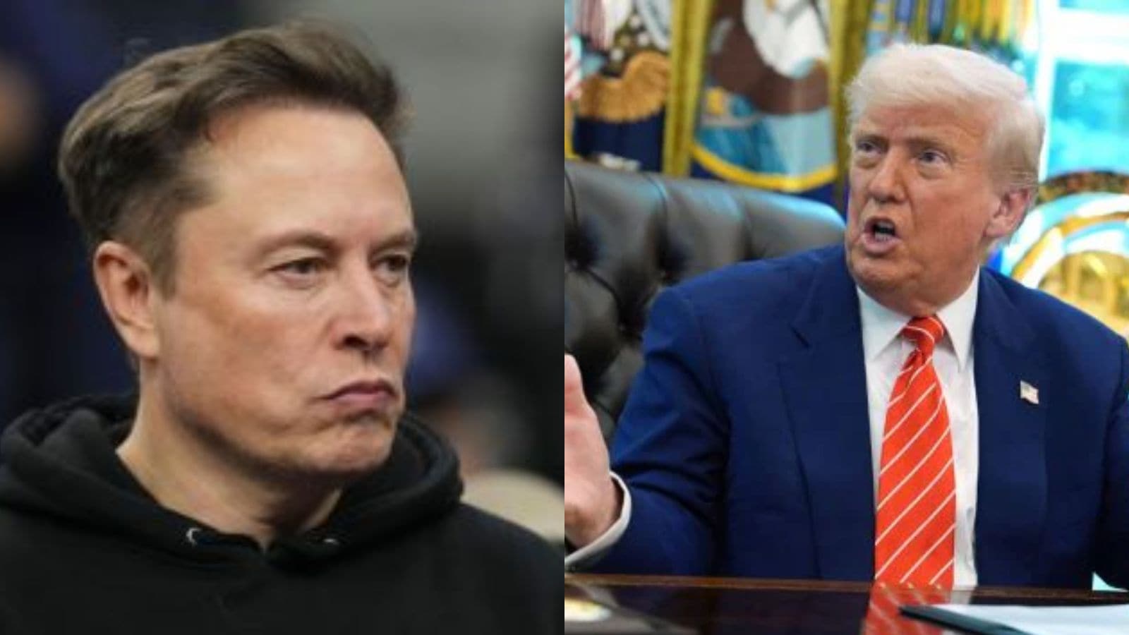 8 ways Musk and Trump could inflict pain on each other | World News ...